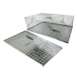 Fold Flat Pigeon Trap